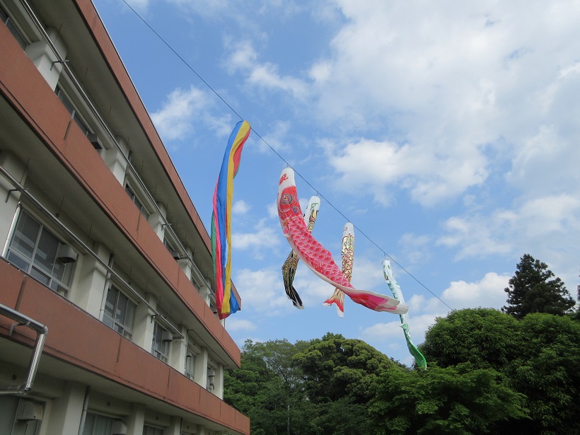 070426 鯉のぼり | 市原市ウェブサイト
