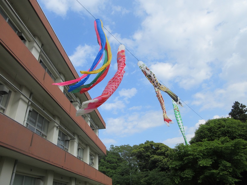 070426 鯉のぼり | 市原市ウェブサイト